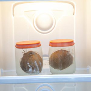 El Aceite De Coco Se Guarda En El Refrigerador - Todo Refrigerador
